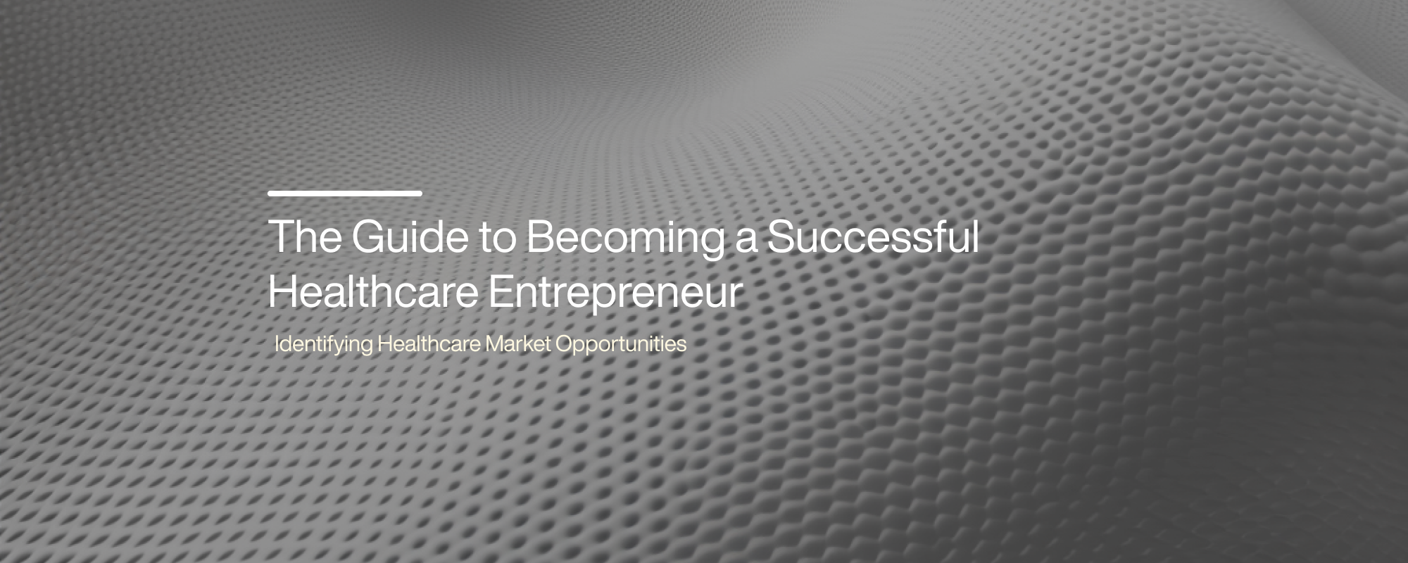The Guide to Becoming a Successful Healthcare Entrepreneur